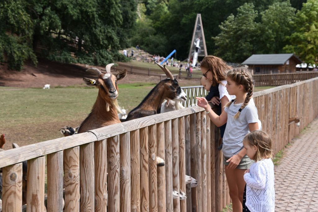 Wildpark: Besucherinfo