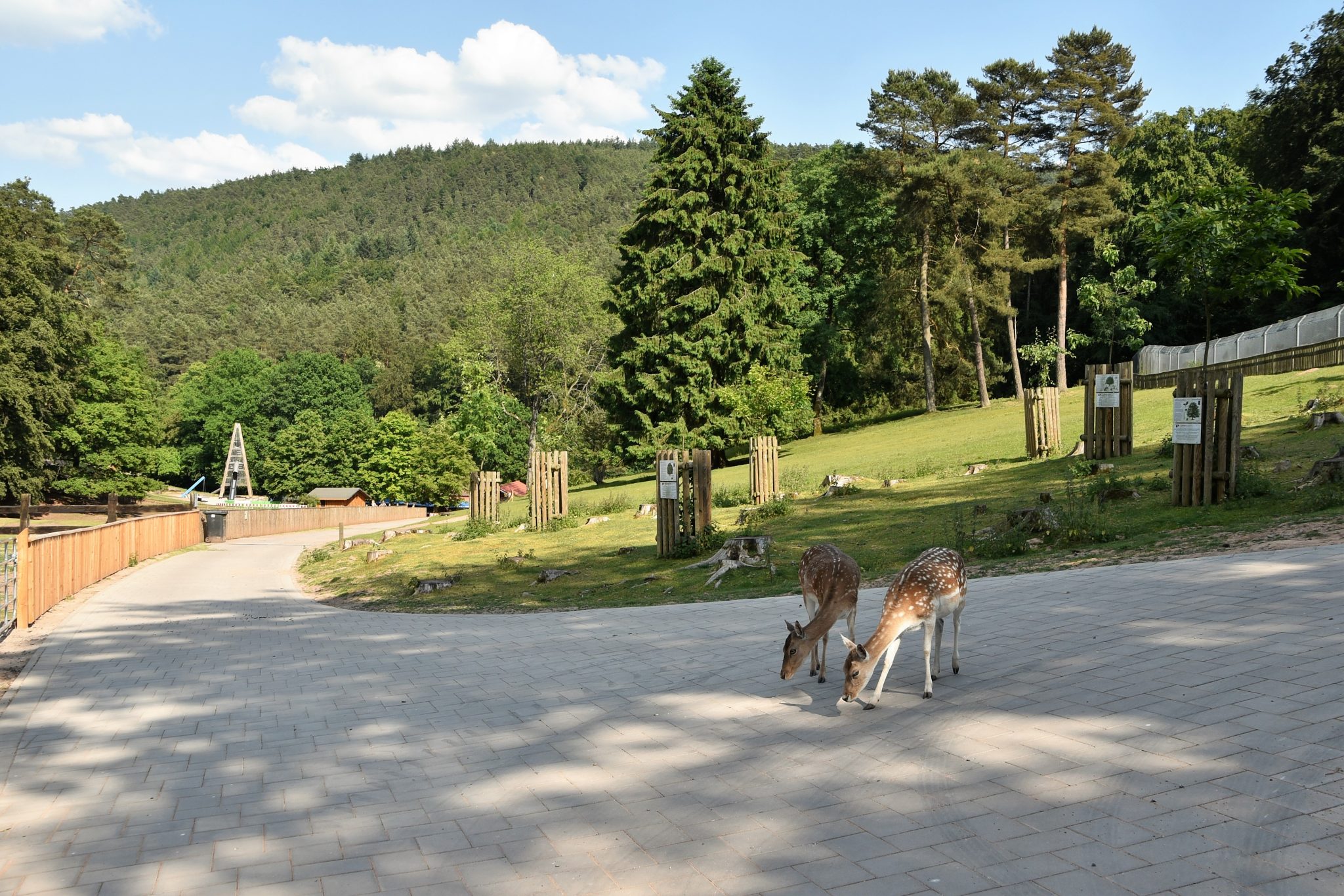 Wildpark: Besucherinfo
