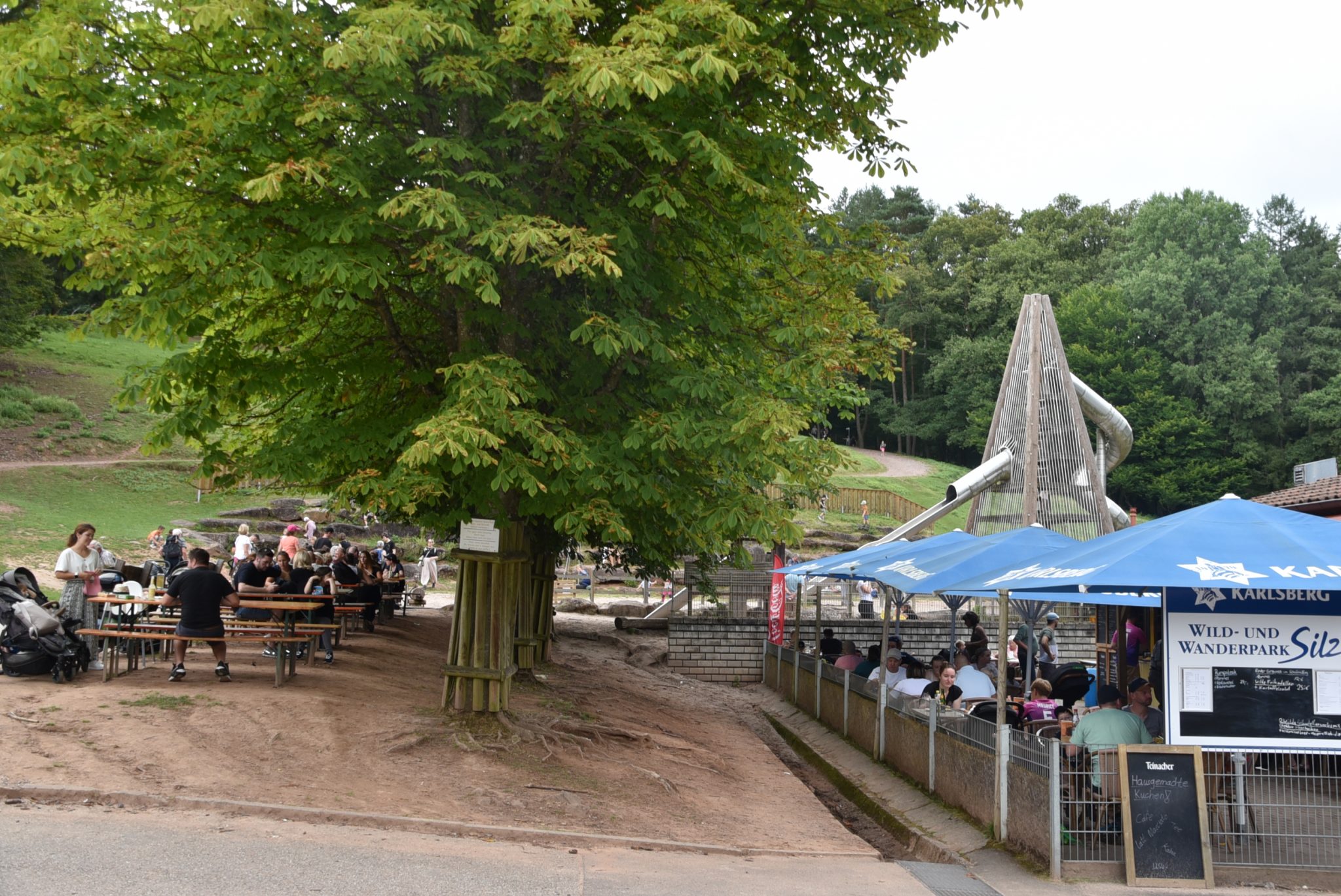 Wildpark: Besucherinfo